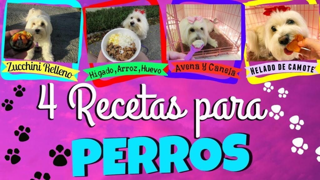 Descubre por qué Krof es el mejor alimento para perros: beneficios y ...