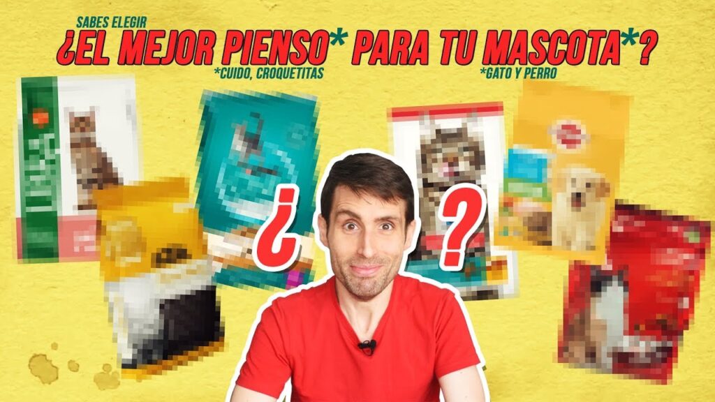 Descubre los sabores irresistibles en nuestra selección de comida para ...