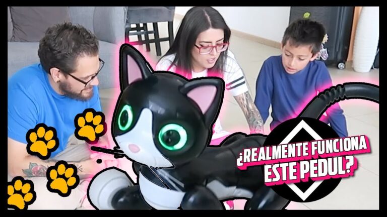 Aprovecha la tecnología: Descubre los mejores gatos robot del mercado ...