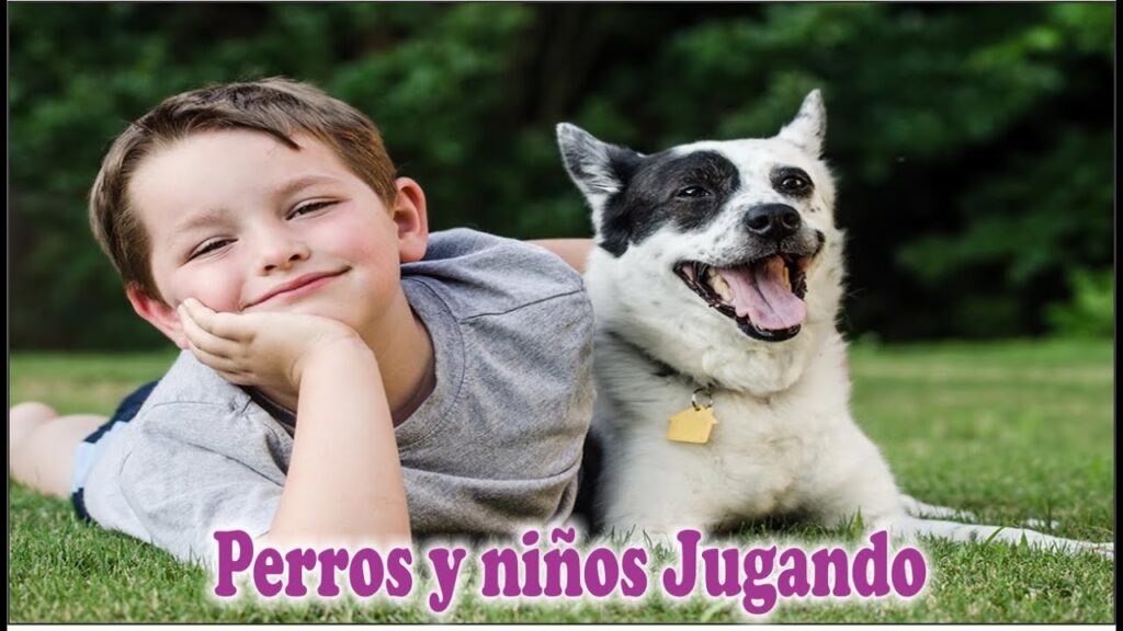 Descubre cómo los perros pueden ser los mejores amigos de tus hijos ...